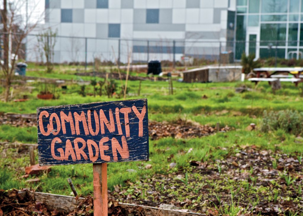 St. Aidan Community Garden Project – Our Canada Project